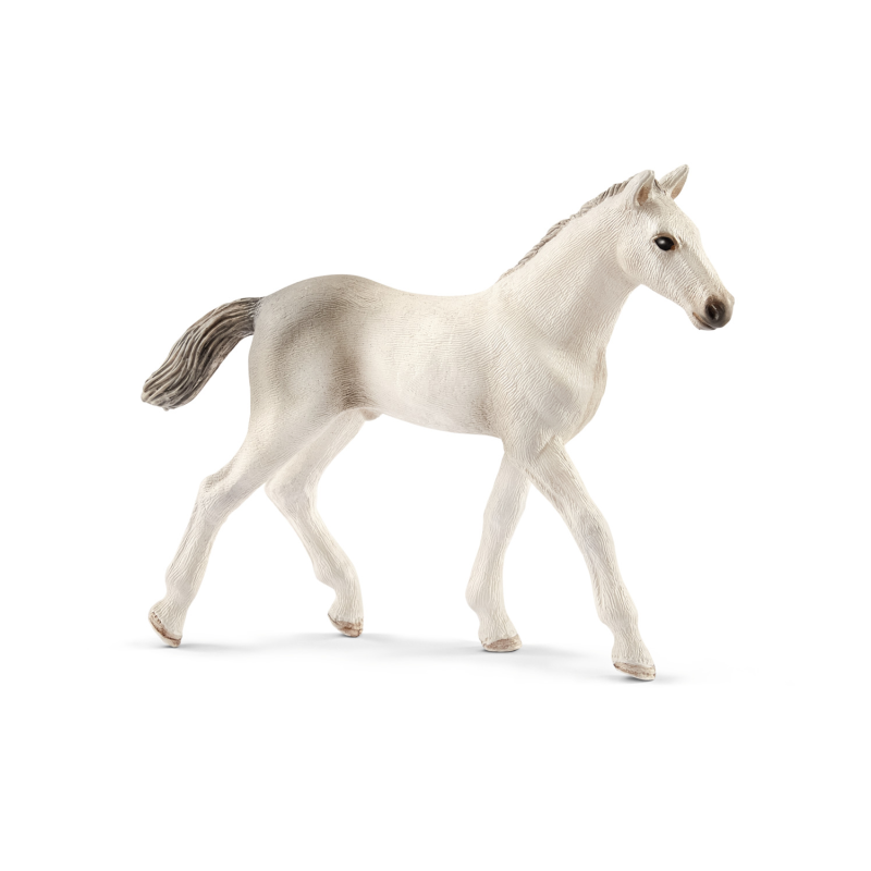 schleich 13860 - Holsteiner Fohlen - Horse Club, 5,80